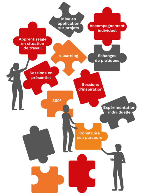 Développement des compétences par la formation